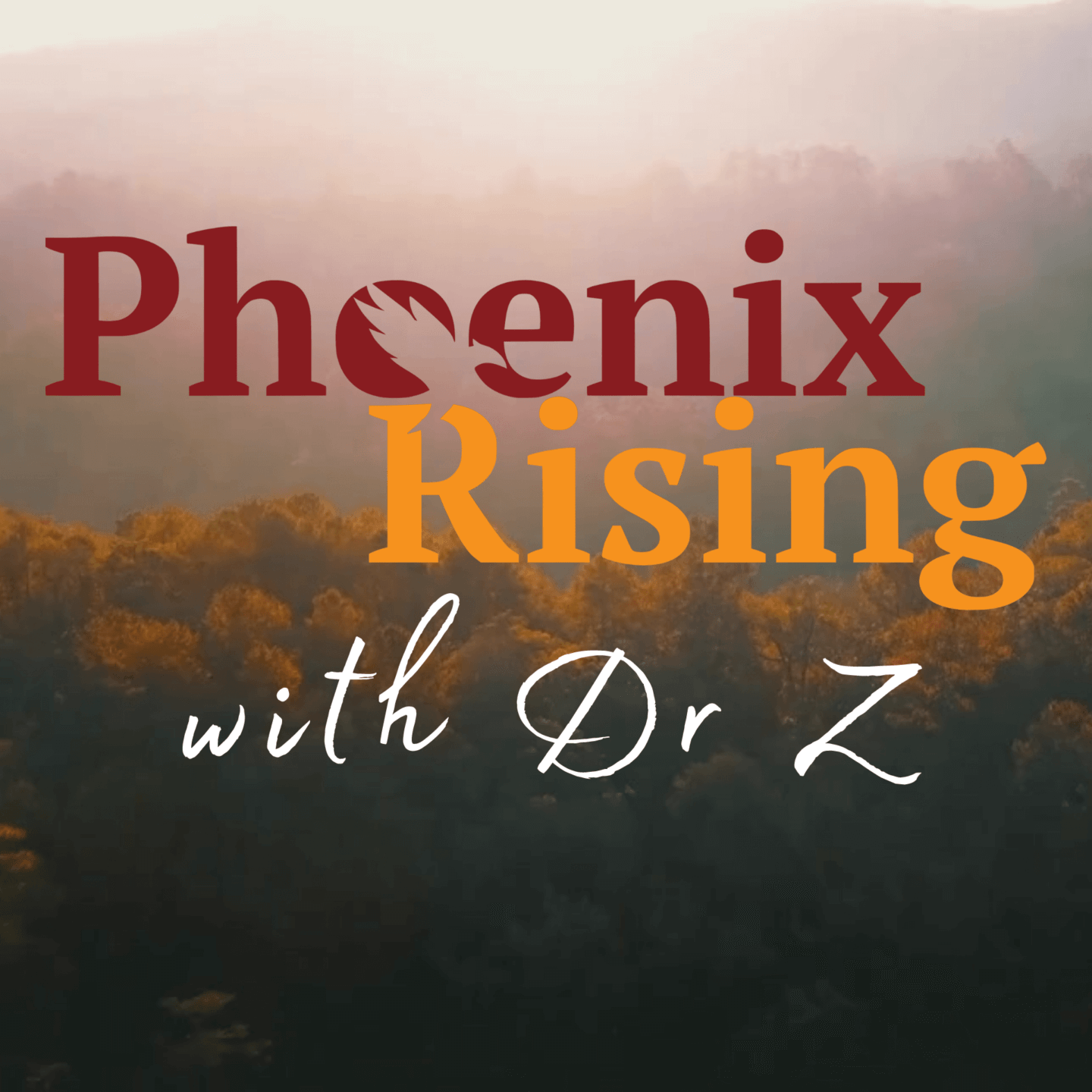 Grief Rituals and How They Help | Center for Grief and Trauma Therapy